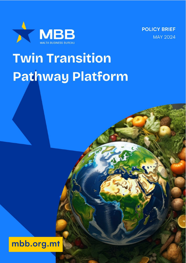 Transition Pathway Platform - MBB